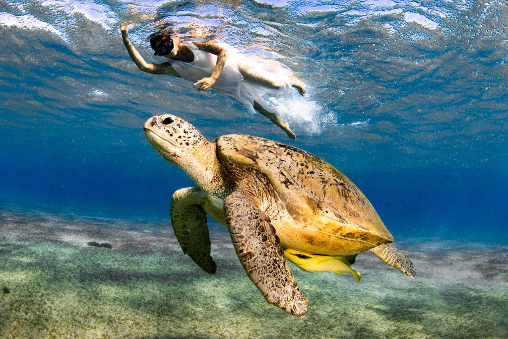 Marsa Alam - Red Sea Trips